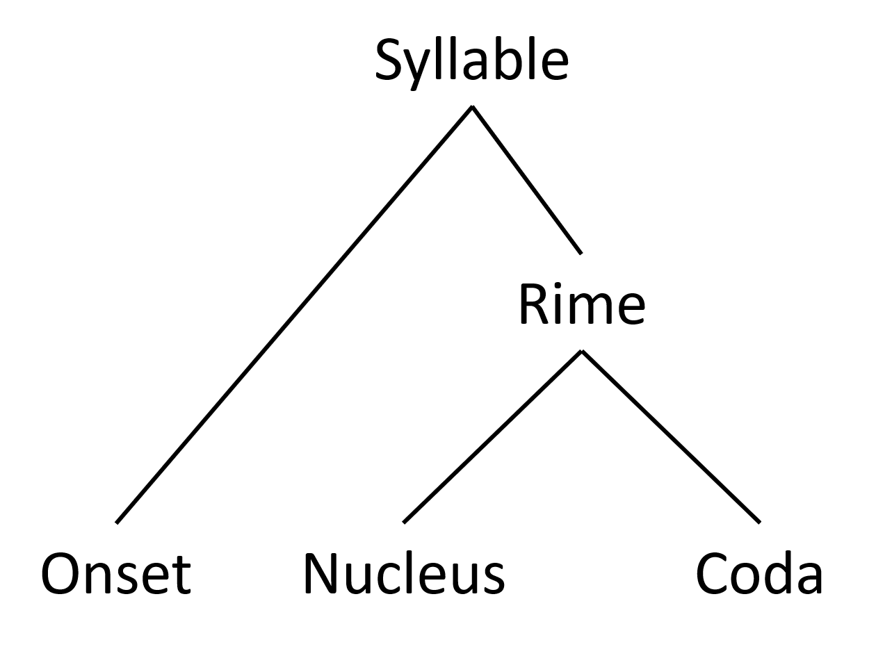 2 5 Syllables Psychology Of Language 2 5 Syllables Psychology Of Language