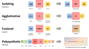 3.3 Morphology of Different Languages – Psychology of Language
