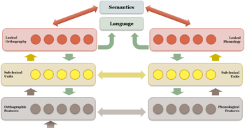 6.3 Models of Bilingualism – Psychology of Language