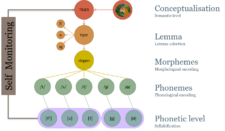 9.2 The Standard Model of Speech Production – Psychology of Language